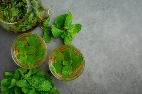 12 Types of Herbal teas and their benefits in 2025 - Medspurs