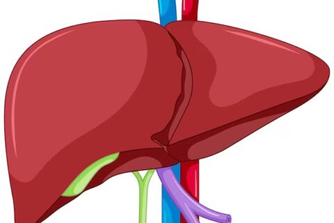 Transaminitis: Symptoms, Treatment, and Prevention in 2024. - Medspurs