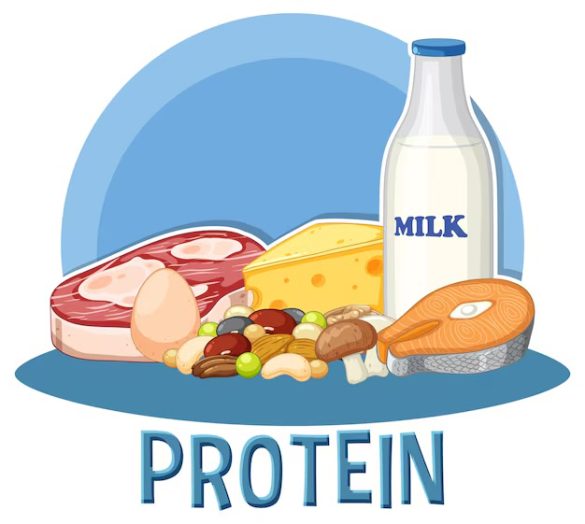 Protein : Understanding protein types and benefits - Medspurs